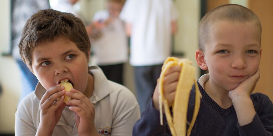 Fun Little Foodies - YMCA Newcastle